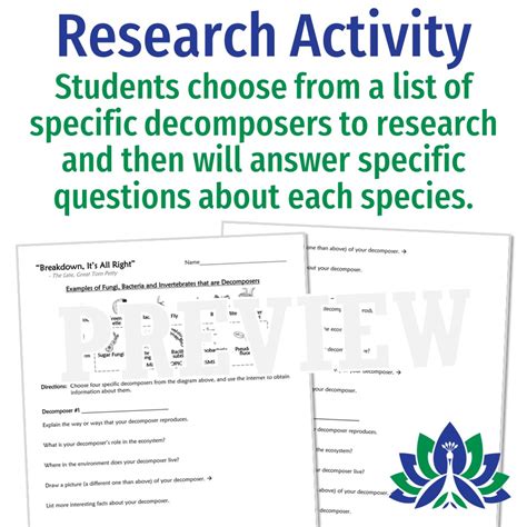 Decomposers Activity Flying Colors Science