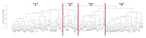 Patient Classification Tree Dendrogram Based On Classification