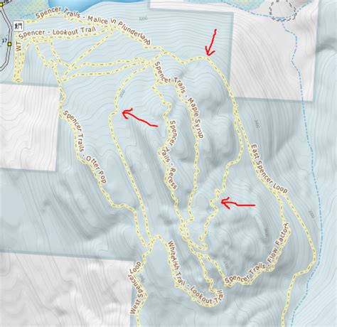 Labeling Simplifying Label Geometry In QGIS Geographic Information Systems Stack Exchange
