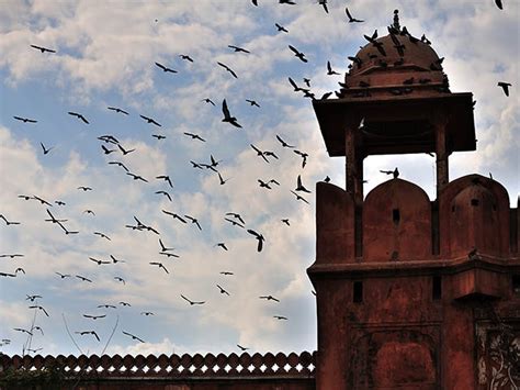 best things to see and do in ajmeri gate jaipur