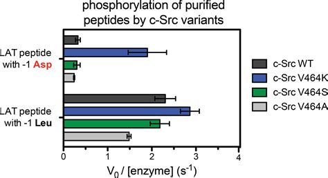 Figures And Data In Fine Tuning Of Substrate Preferences Of The Src