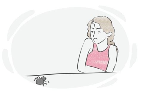 What Are Object Complements In English Langeek