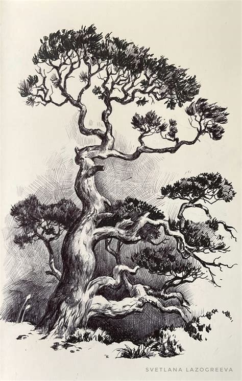 Скетч 2 Эскизы деревьев Вдохновляющее искусство Альбом для рисования