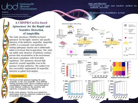 Rscposter Crispr Cas12a Based Aptasensor For Ampicillin Detection Jing Yee Bong Posted On The