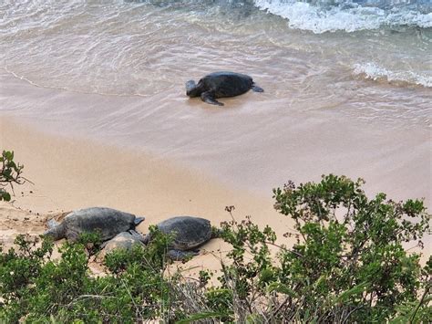 Dissertation Coaching Pros On Linkedin Dissertationhelp