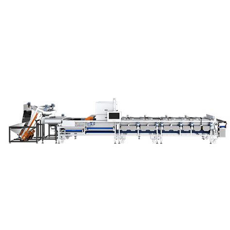 2 4 ton output 6 12 feed lanes new issued high speed dates sorting machine with ce certificate