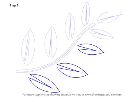 Learn How To Draw Fern Leaves Plants Step By Step Drawing Tutorials