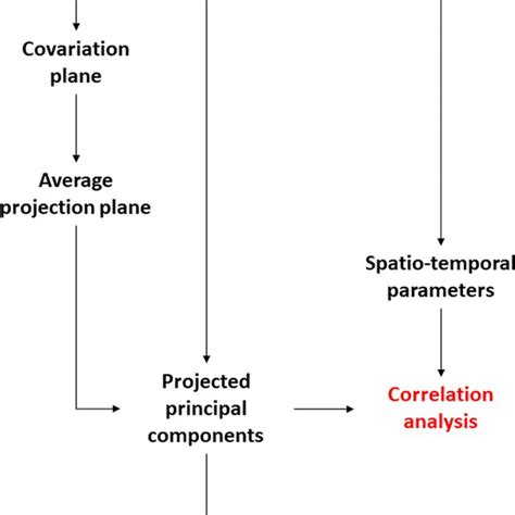 A Schematic Representation Of The Data Analysis Procedures Involved In Download Scientific