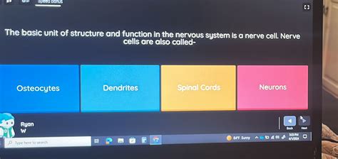 The Basic Unit Of Structure And Function In The Nervous System Is A Nerve Cell Nerve Osteocytes
