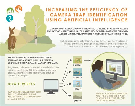 Increasing The Efficiency Of Camera Trap Identification Using Artificial Intelligence Canadian