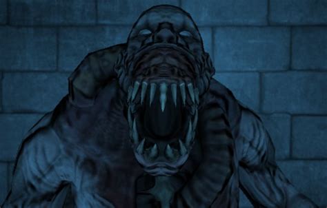 The Maze By CherryGamess