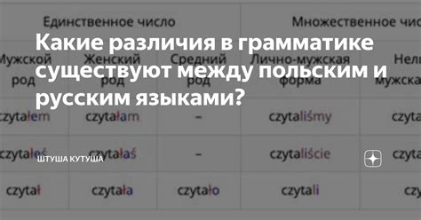 Какие различия в грамматике существуют между польским и русским языками Дмитрий Иванов Дзен
