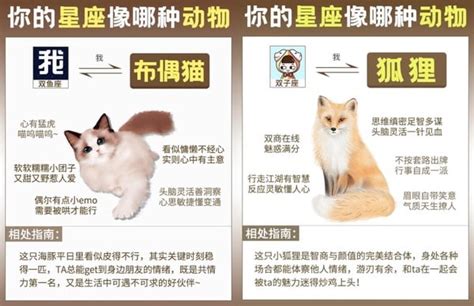 你的星座像哪種動物陸網爆紅心理測驗6道題目測出你是什麼動物性格及相處指南