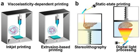 Single Multi Network Conductive Hydrogels—a Review