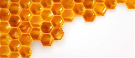 현실적인 벌집 배경 밝은 색상 질감 꿀 배너3d 육각형 천연 제품 광고 또는 벽지 벡터 개체 그룹에 대한 스톡 벡터 아트 및 기타 이미지 Istock