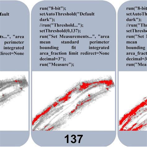 Pixel Brightness Based Thresholding Of The Same Image From A Download Scientific Diagram
