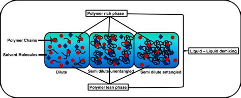 schematic representation of ca acetone dmac binary solvent mixture