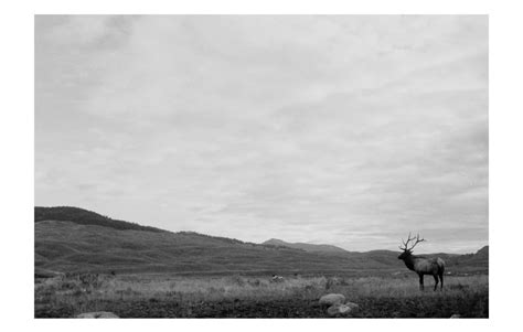 Photography — Daniel Wood Adams