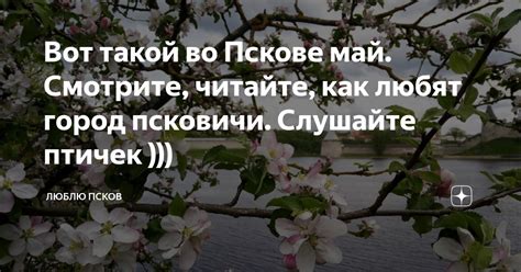 Вот такой во Пскове май Смотрите читайте как любят город псковичи Слушайте птичек