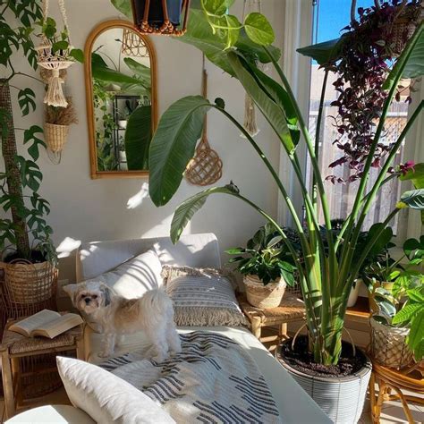 Bella Always Looks Like She S Got An Attitude But I Swear She S The Sweetest Greenhouse