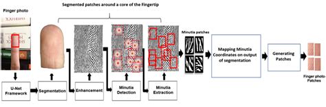 Architecture Illustrating Image Segmentation Enhancement And Minutia Download Scientific