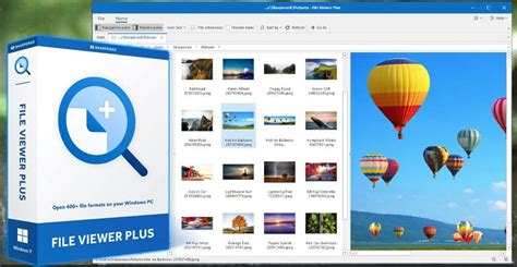 File Viewer Plus 5001 Free Download Filecr
