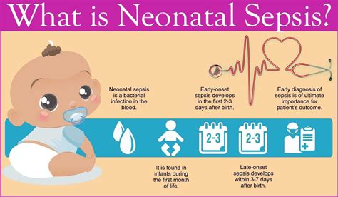 Sepsis Neonatorum Treatment At John Heidt Blog