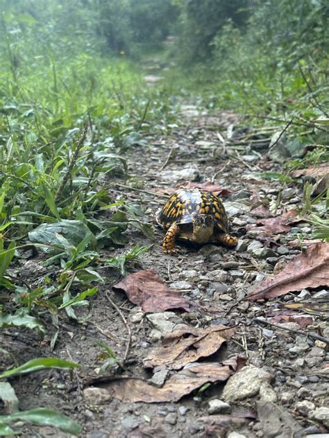 Jay Brewer On Linkedin Todays Training Partner On Ft Tower Trails