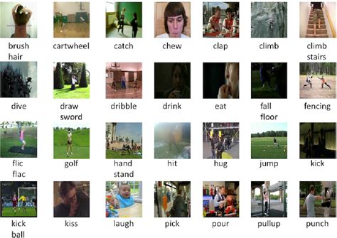 Figure 1 From Knowledge Distillation In Video Based Human Action Recognition An Intuitive