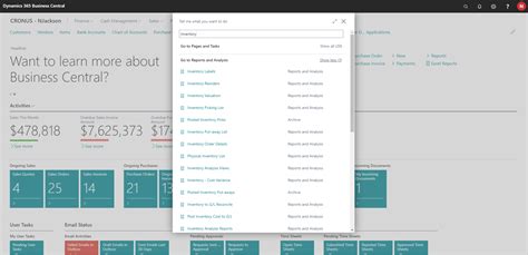 Dynamics Business Central Reporting Native Reports Vs Excel Vs Power BI TrinSoft