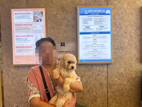 말티푸 먼지 스피츠성격 시바견성격 시베리안허스키성격 시츄성격 요크셔테리어성격 웰시코기성격 이탈리아그레이하운드성격 치와와성격 코카스파니엘성격 폼스키성격 폼치성격 폼피츠성격