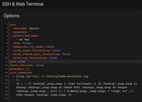 Ssh And Web Terminal Using Alias Command Home Assistant Os Home