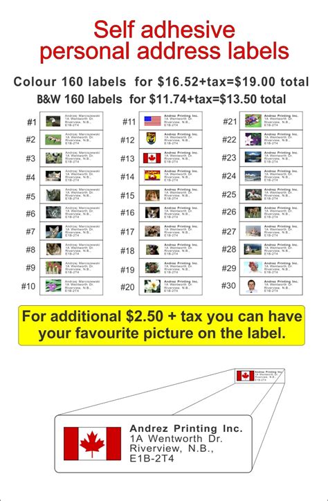 Return Address Andrez Printing