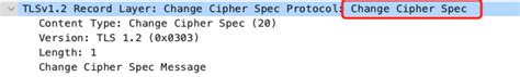 （二）：tls ssl四次握手及wireshark抓包分析 wireshark抓取ssl握手主密钥 csdn博客