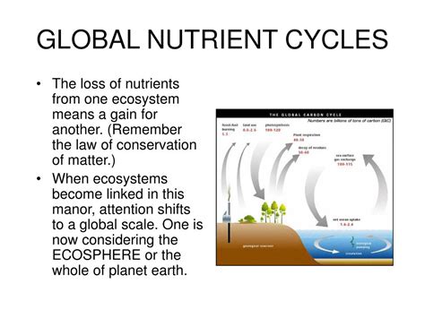 Ppt Nutrient Cycles Powerpoint Presentation Id 217294