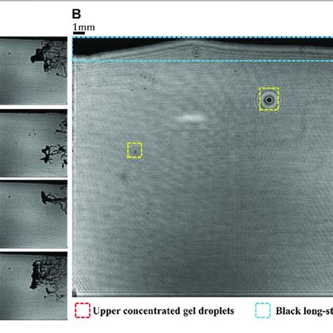Defective Dataset The Subgraphs In Column A Are The Images Chosen Download Scientific