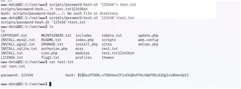 全面渗透实践：从信息收集到drupal提权与suid提权的实战教程 csdn博客