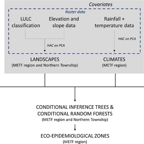 schematic of the statistical plan hierarchical ascendant clustering