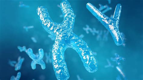 हर 500 में से एक पुरुष में होता है एक्स्ट्रा क्रोमोसोम जो गंभीर