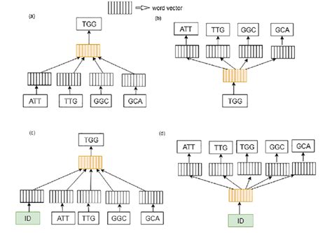 Architecture Of Word2vec And Doc2vec Models A Cbow For Word2vec B Download Scientific