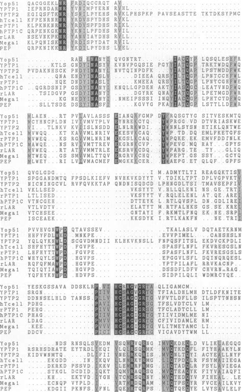 Ptpase Domain Alignment Sequence Alignments Of The Download Scientific Diagram