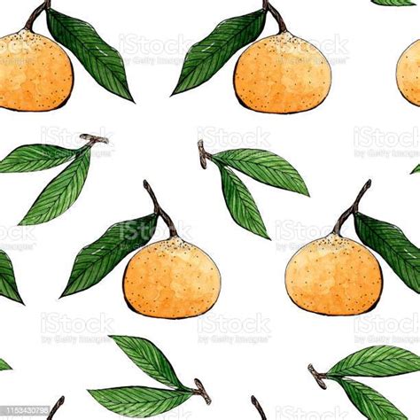 색 수채화 원활한 패턴 귤과 흰색 배경에 나뭇잎의 그림 디자인 카드 종이 직물 0명에 대한 스톡 벡터 아트 및 기타 이미지 0명 감귤 감귤류 과일 Istock