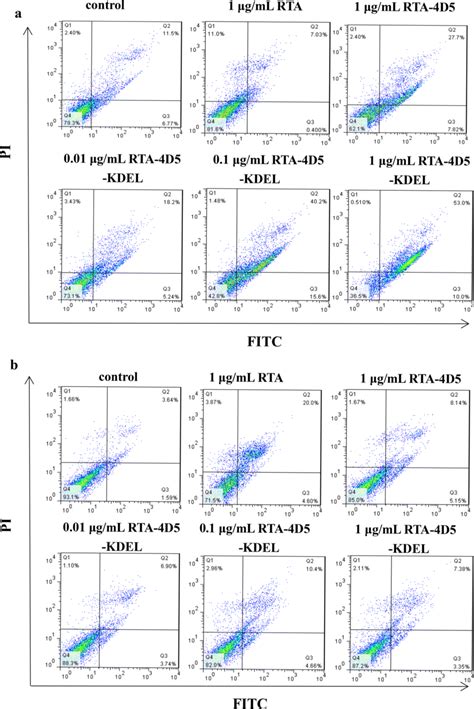 Effects Of Recombinant Immunotoxin On Cell Apoptosis The Living Cells