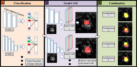 figure 1 from automated ensemble search framework for semantic segmentation using medical