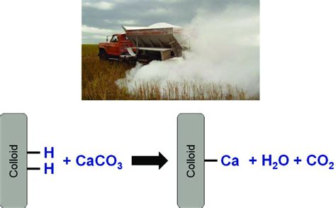 Effect Of Limestone On The Neutralization Of Soil Acidity Ca 2