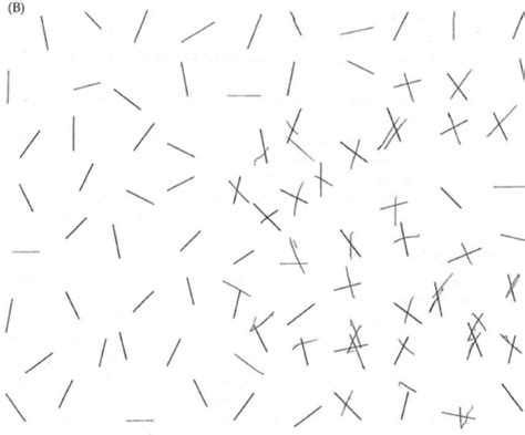 Neuro Anatomy Cerebral Cortex Flashcards Quizlet