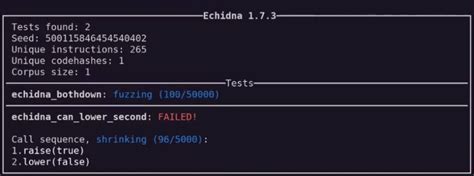 Fuzzing Ethereum Smart Contract Using Echidna Evmsolidity
