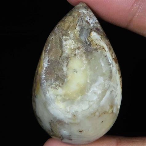 218 95 Cts Natural Fossil Snail Druzy Fancy Cabochon Gemstone 30x49x18