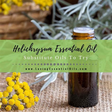 Helichrysum Essential Oil Blends Well With These Oils Loving