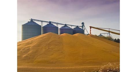 Цените на зърното падат но инфлацията остава висока Български Фермер